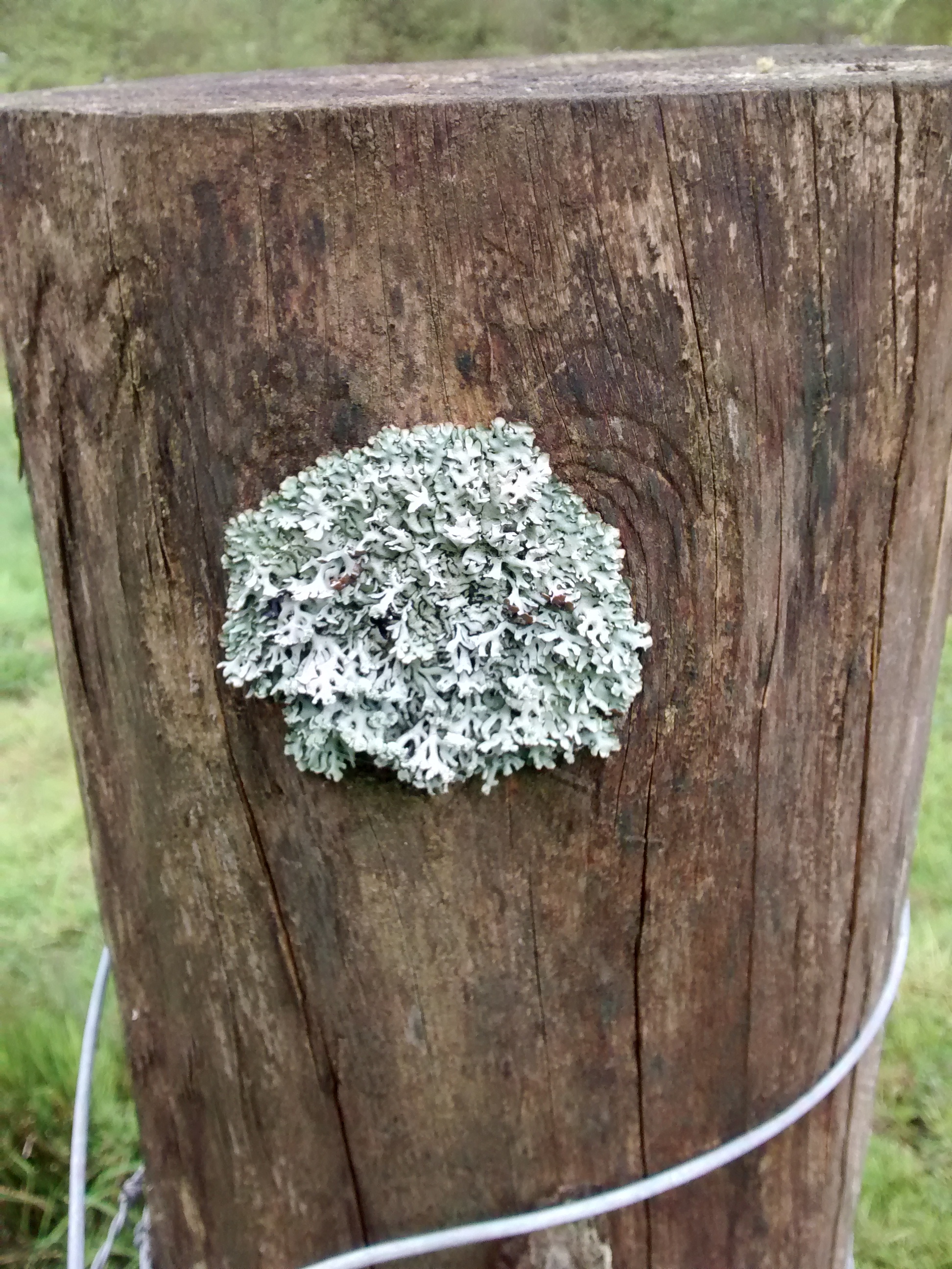 Eco practice – ewan davidson