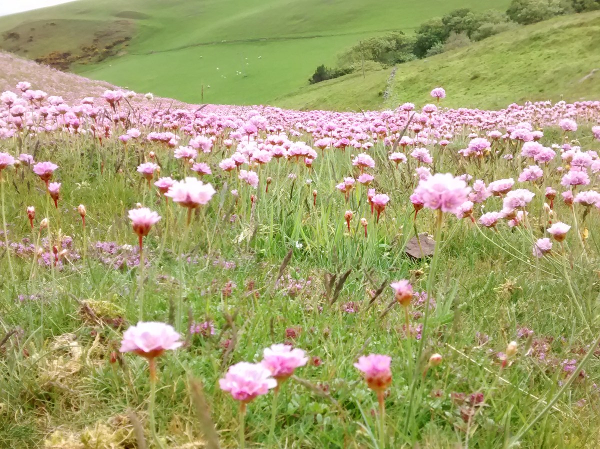 About the Weather – ewan davidson